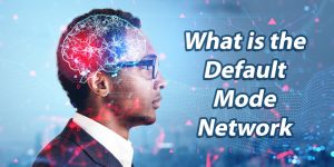 What is the Default Mode Network and why does it matter?